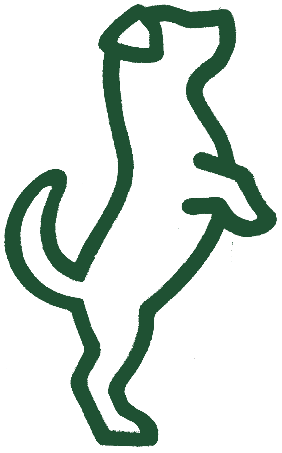 Health Screening For Responsible Breeding | Vets On Main